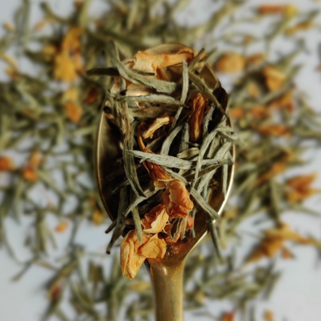 Explore Our Best White Tea Collection